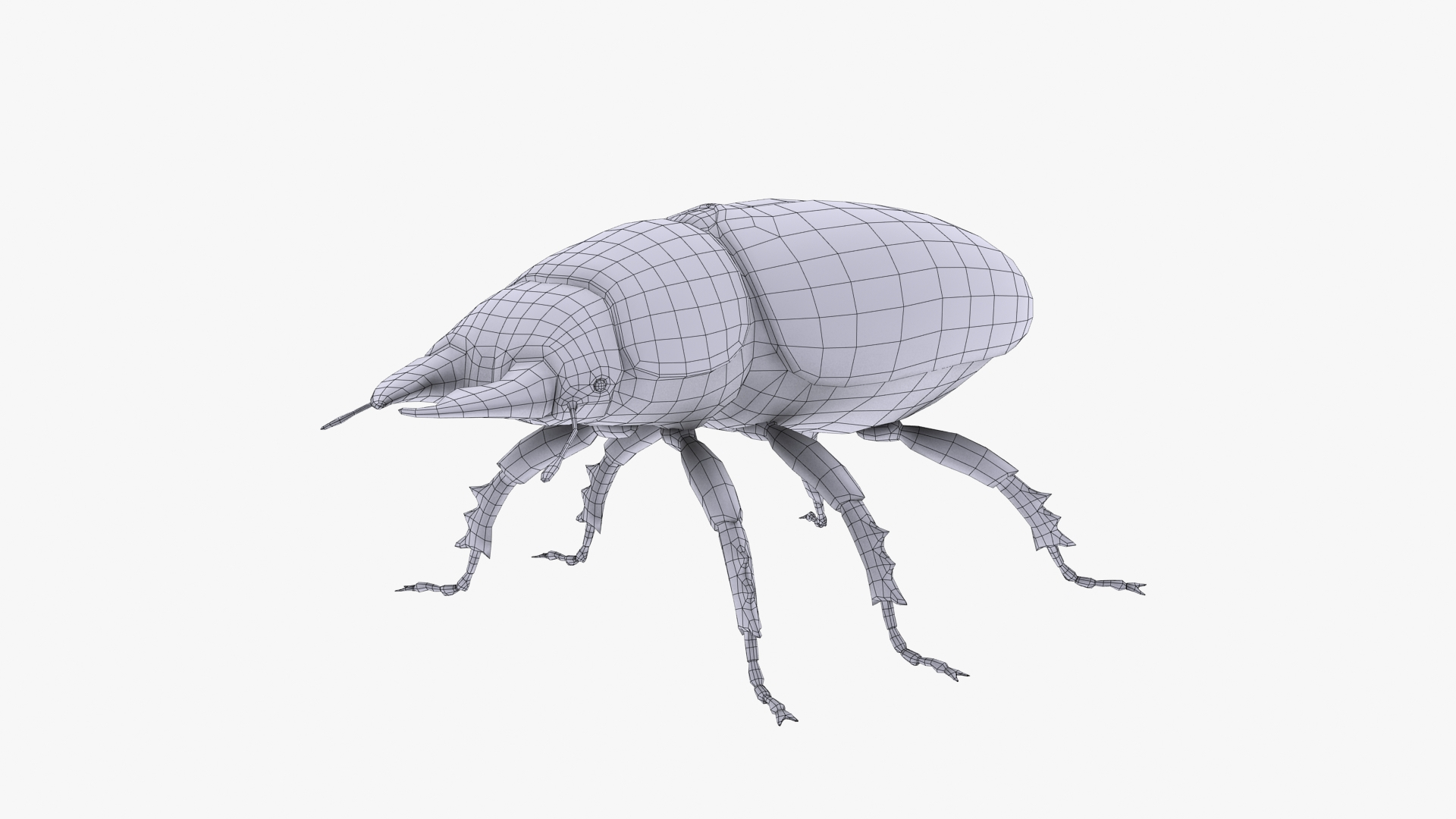 Beetle bug insect 3D - TurboSquid 1307327