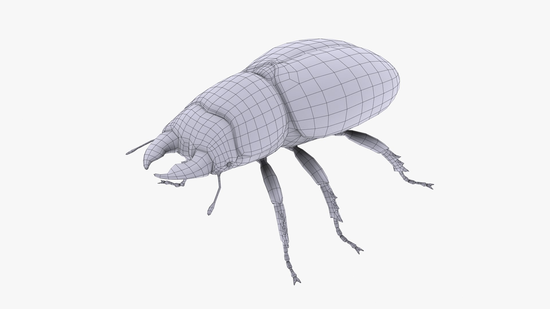 Beetle bug insect 3D - TurboSquid 1307327