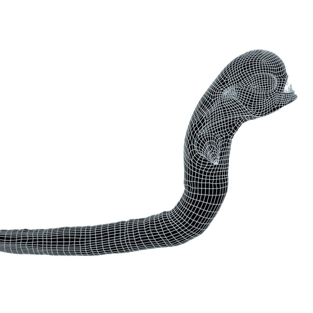 3D model animation chestburster pbr - TurboSquid 1495260