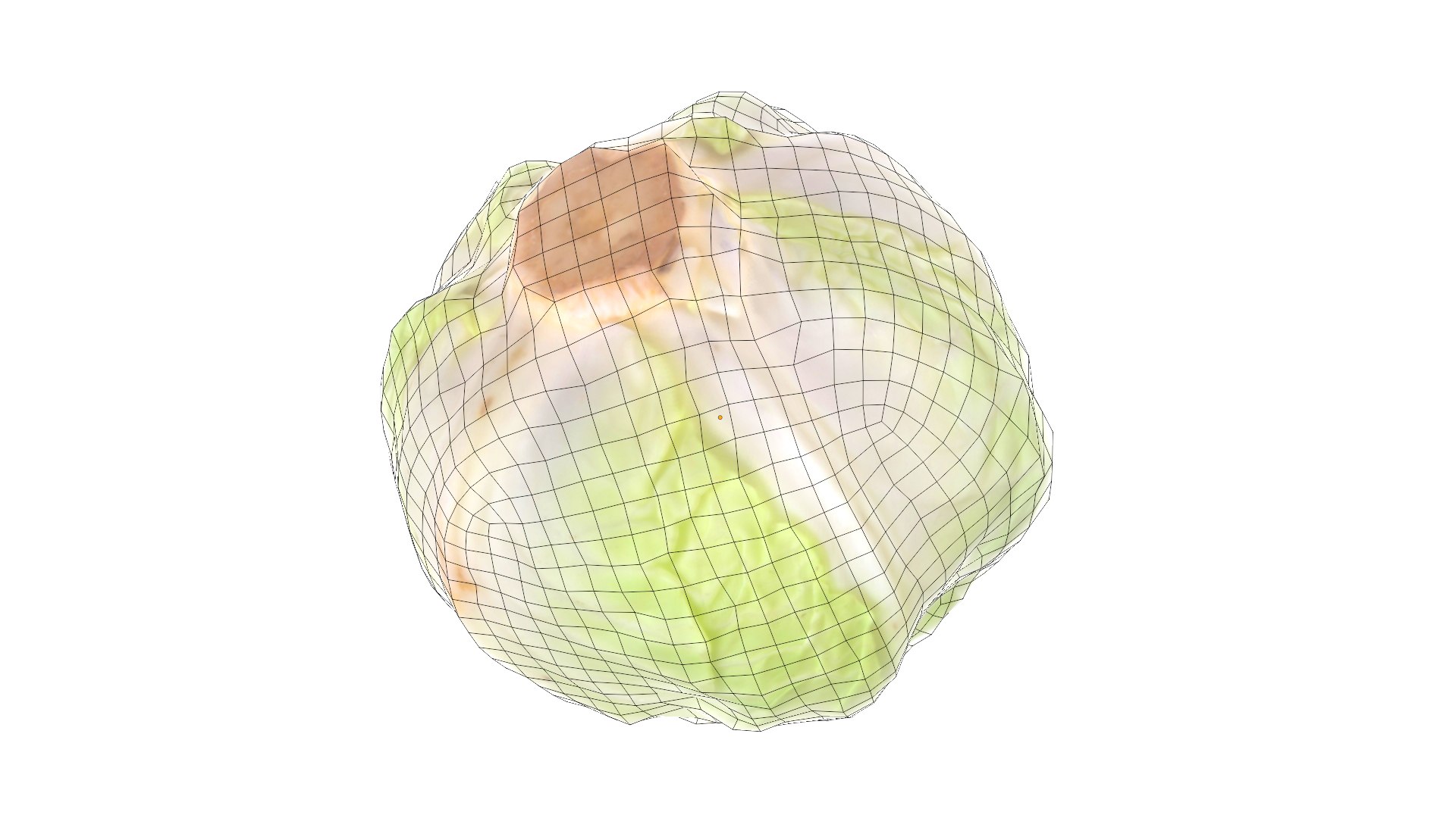 3D Cabbage Food Vegetable Model - TurboSquid 1602028