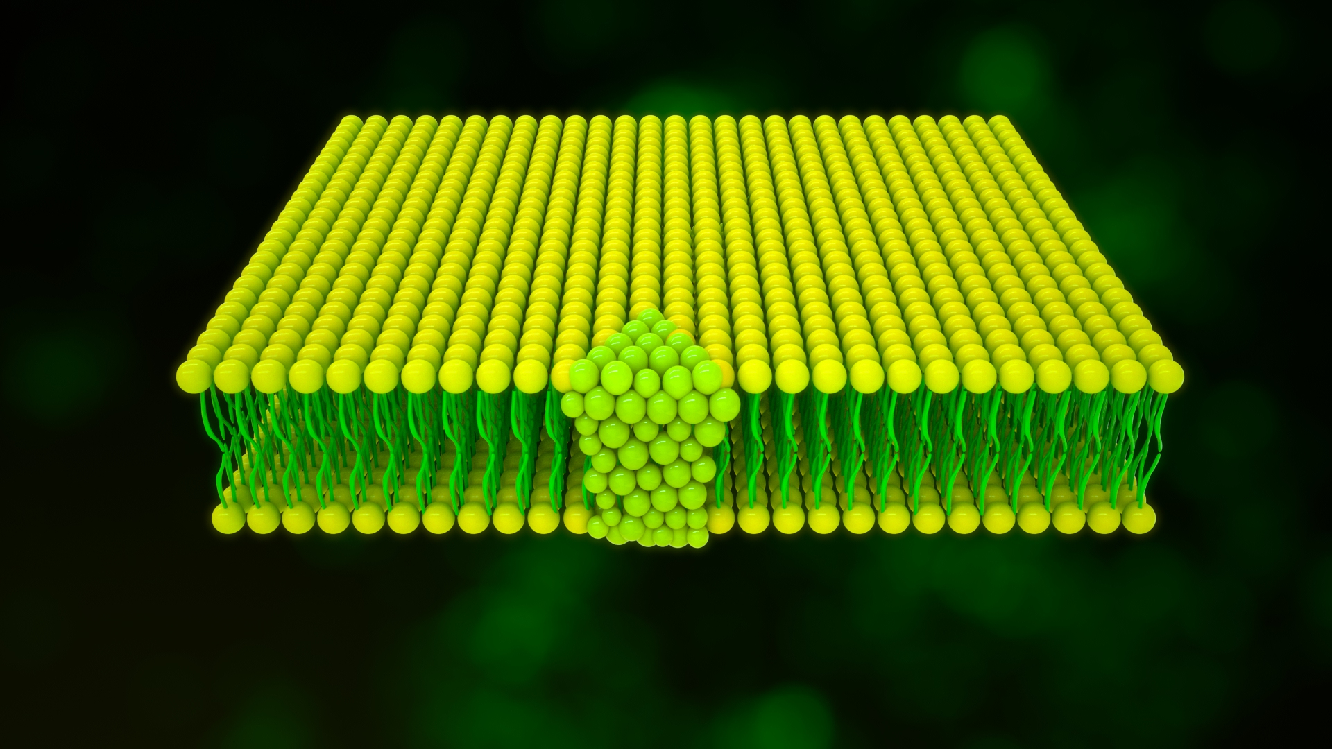 Light Harvesting Chlorophyll Complex 3D Model - TurboSquid 2206041