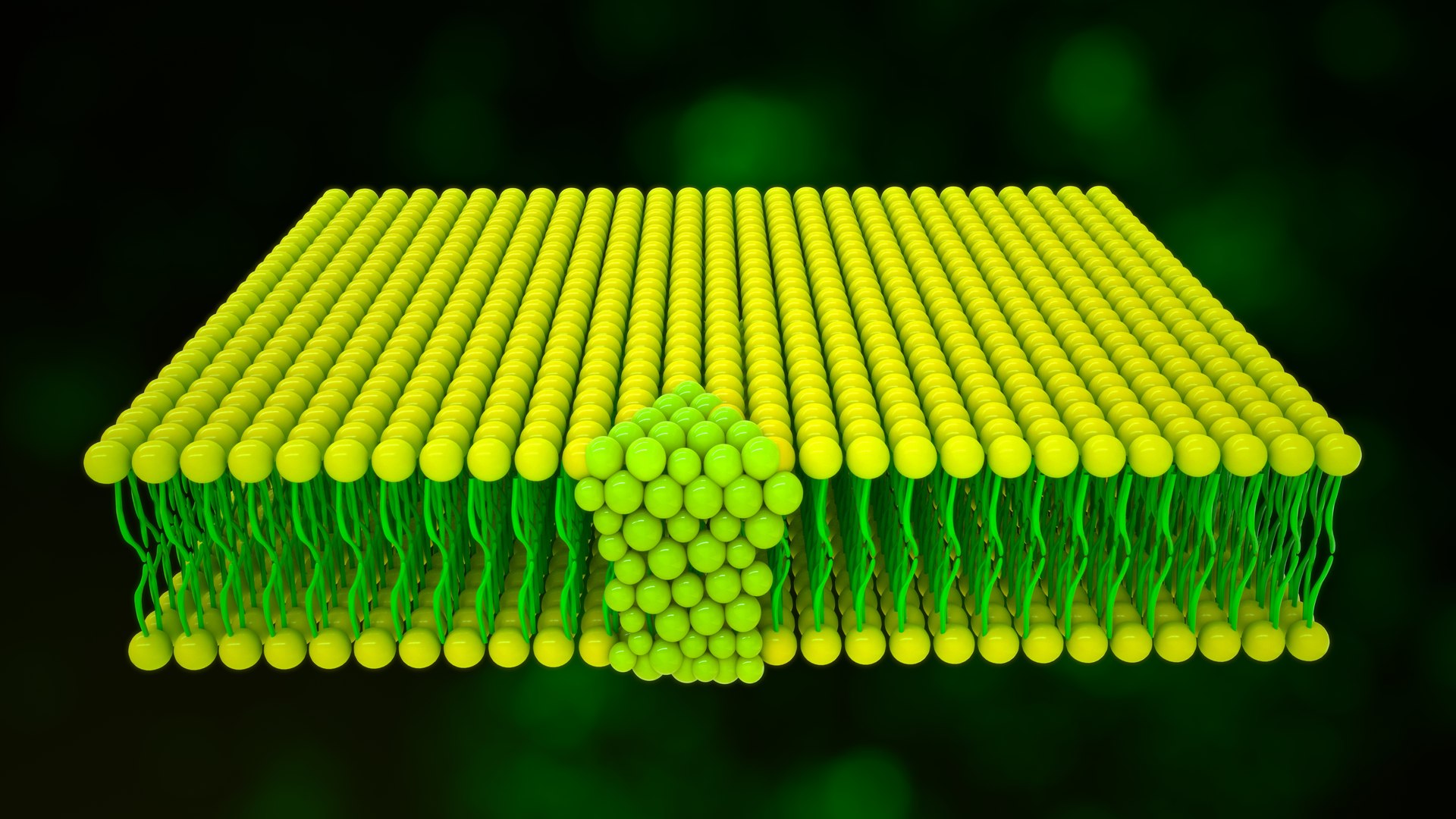 Light Harvesting Chlorophyll Complex 3D Model - TurboSquid 2206041