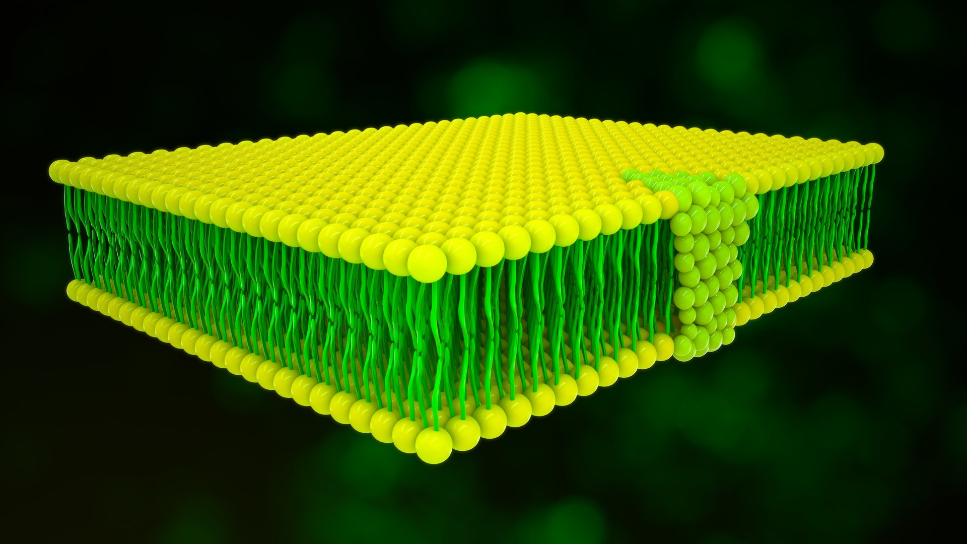 Light Harvesting Chlorophyll Complex 3D Model - TurboSquid 2206041