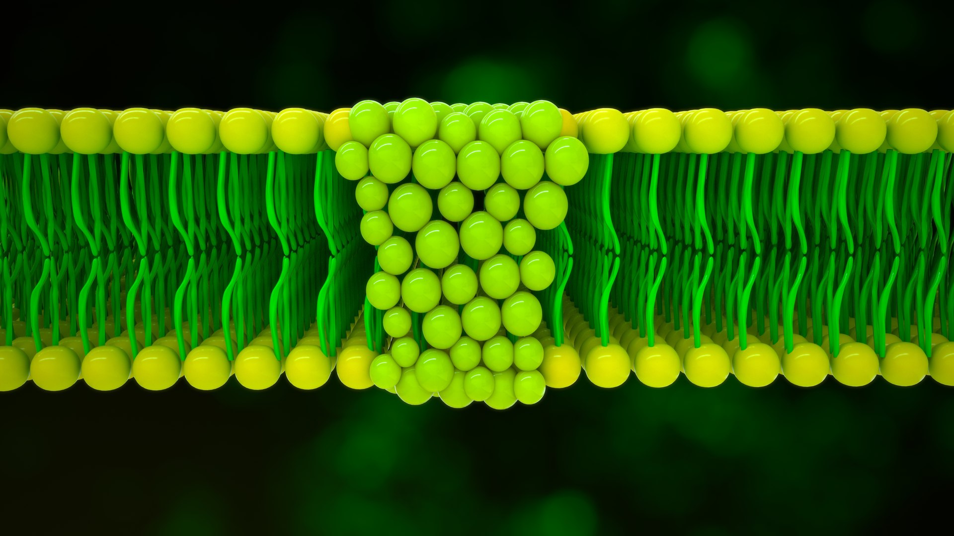 Light Harvesting Chlorophyll Complex 3D Model - TurboSquid 2206041
