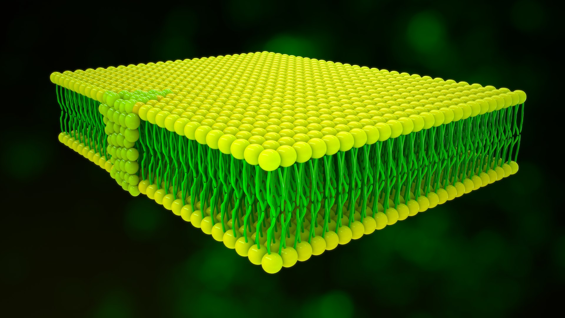 Light Harvesting Chlorophyll Complex 3D Model - TurboSquid 2206041