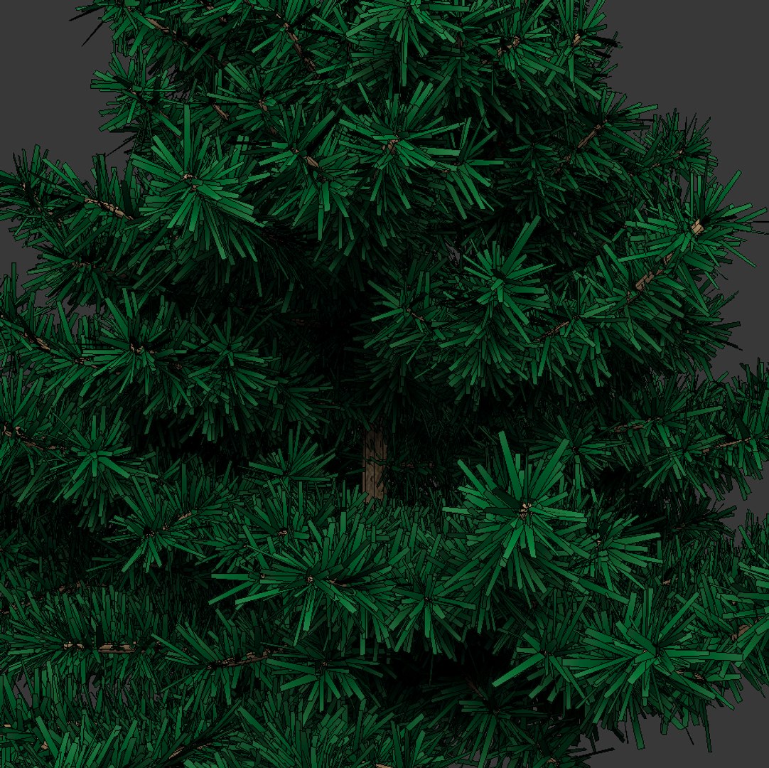 fir tree 3d model