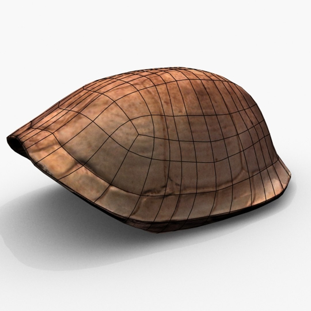3ds Max Turtle Shell