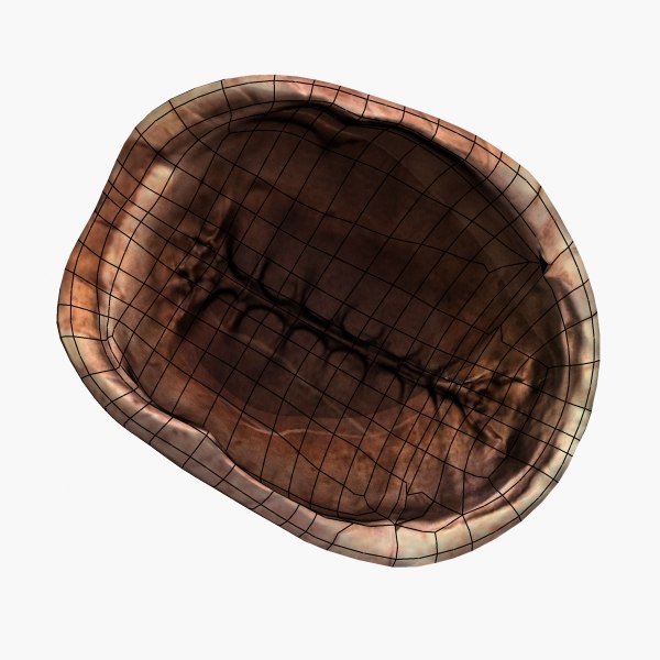 3ds max turtle shell