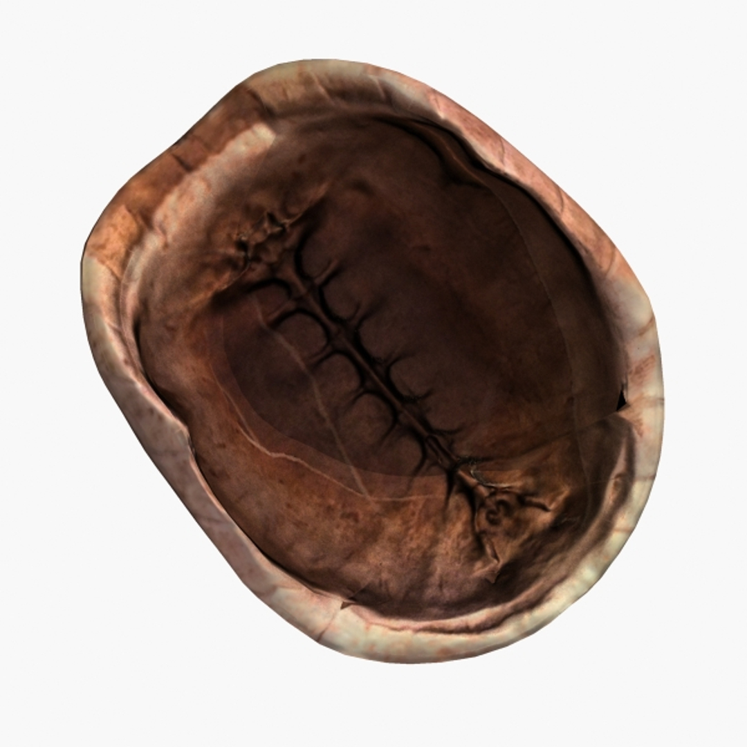 3ds Max Turtle Shell