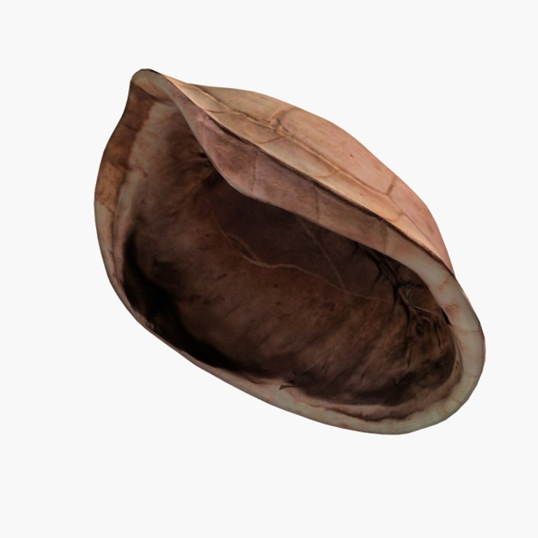 3ds Max Turtle Shell