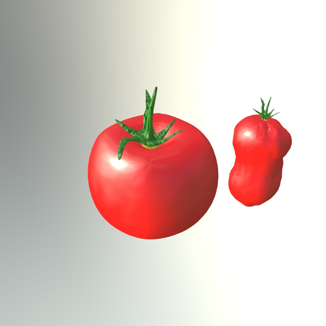Tomato 3D - TurboSquid 1622974