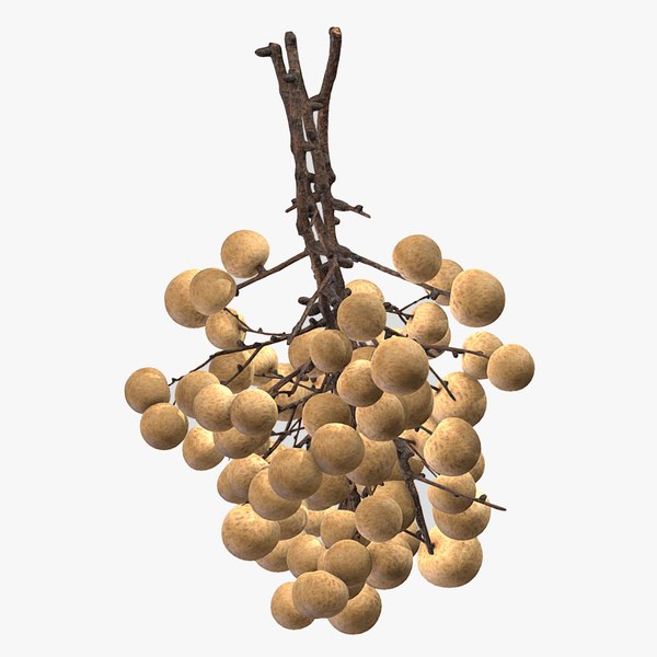 modelo 3d Fruta Longan 02 Low Poly - TurboSquid 2317764