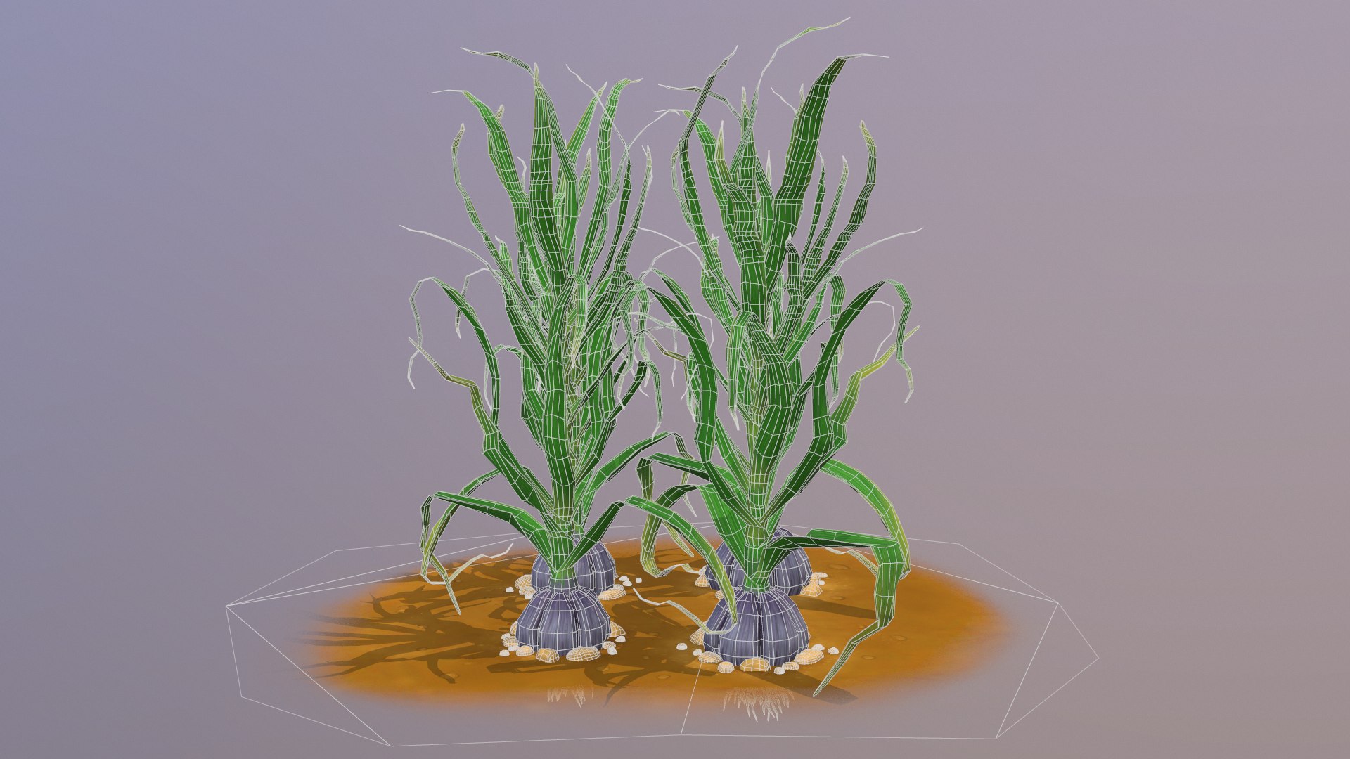 3dsmax Garlic Planting