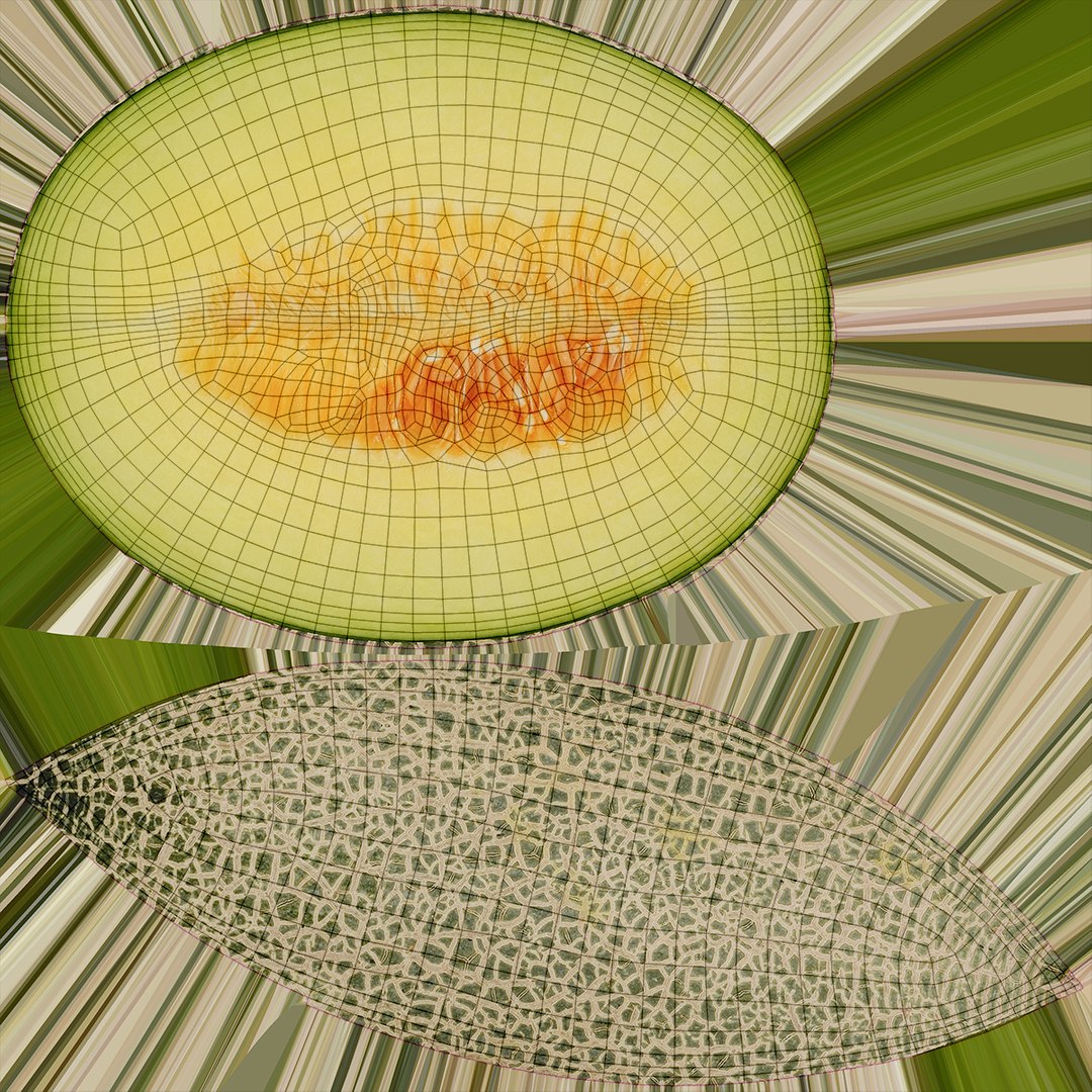 Green Melon and Slice 3D model - TurboSquid 1880993