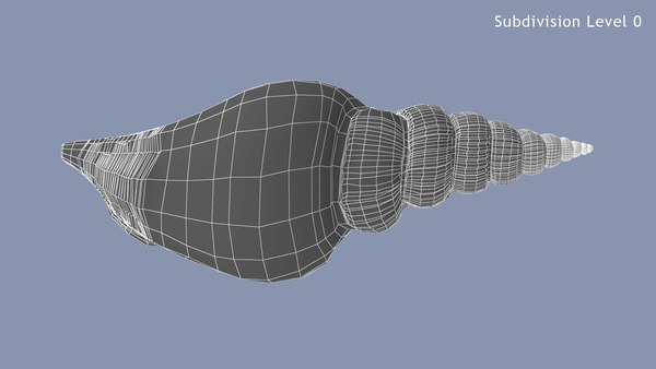 3D Sea Shell 0202 model - TurboSquid 1736605