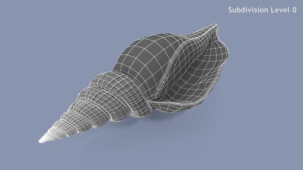 3D Sea Shell 0202 model - TurboSquid 1736605