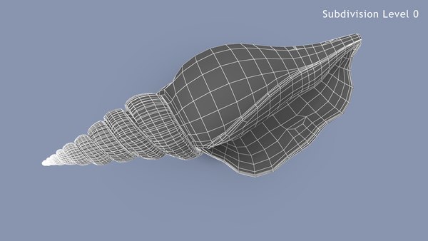 3D Sea Shell 0202 model - TurboSquid 1736605