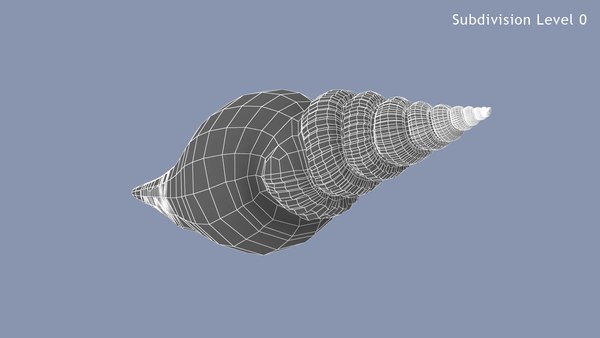 3D Sea Shell 0202 model - TurboSquid 1736605