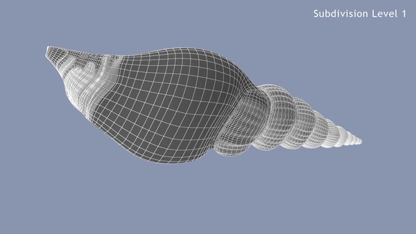 3D Sea Shell 0202 model - TurboSquid 1736605