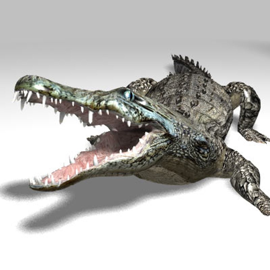 3d realistic crocodile