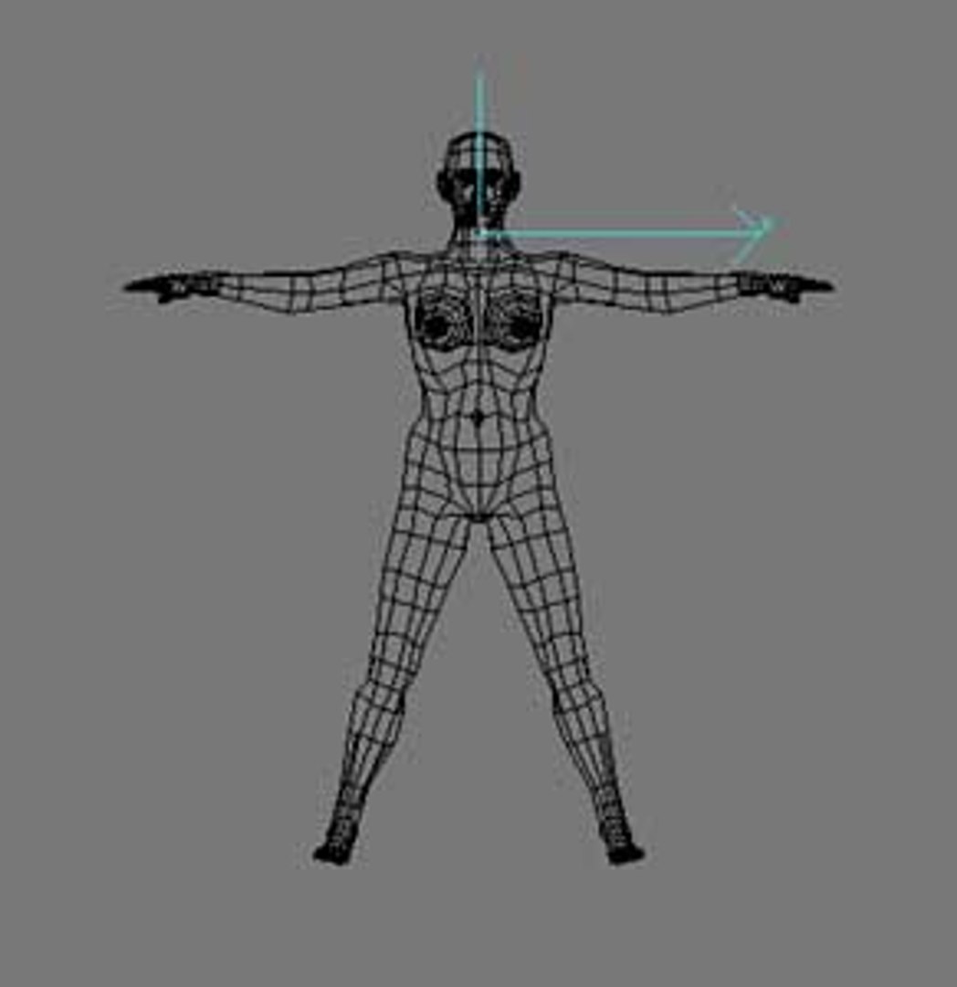 3d Max Human Woman Female