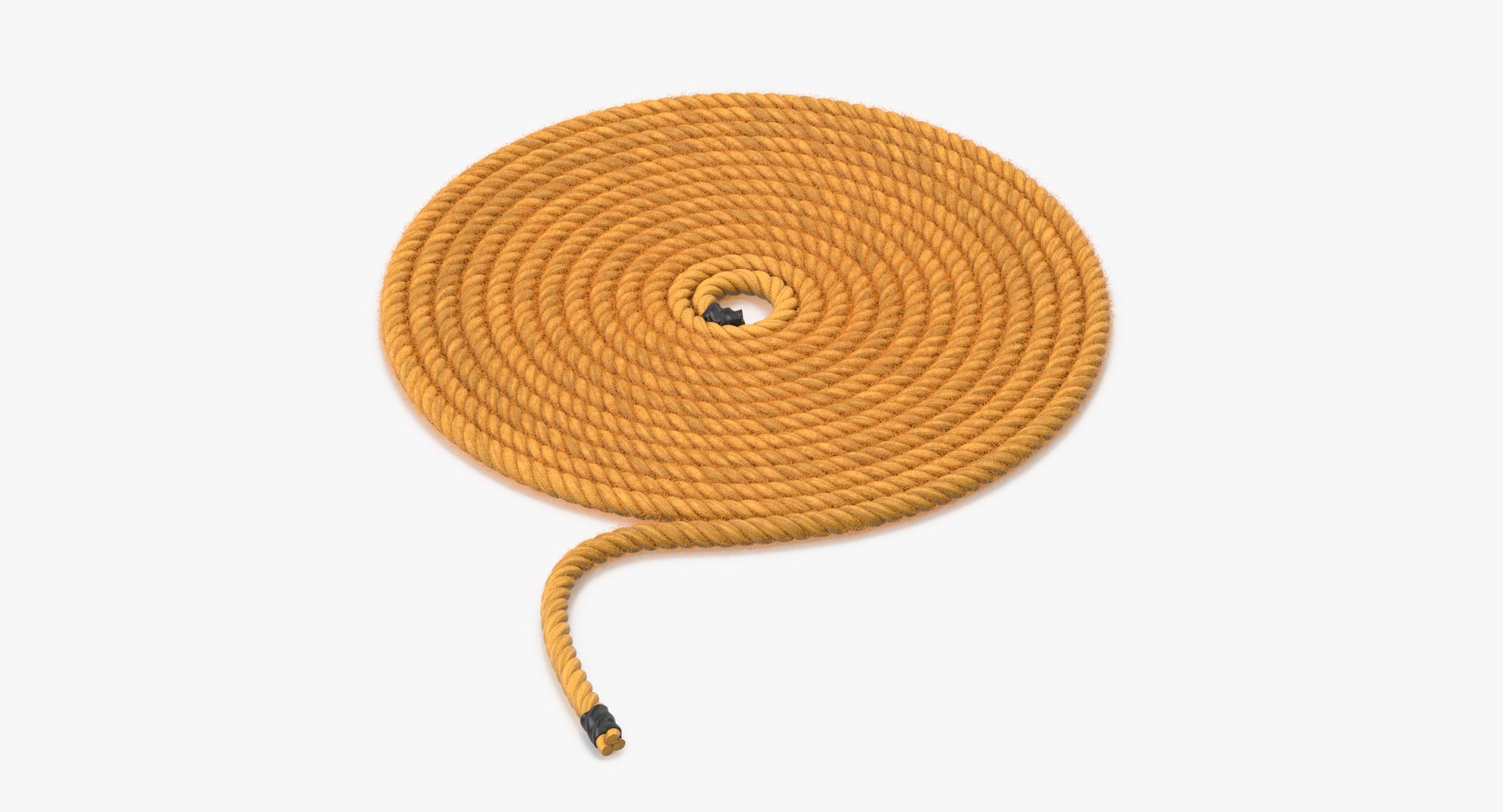 Coiled Rope 3d Model
