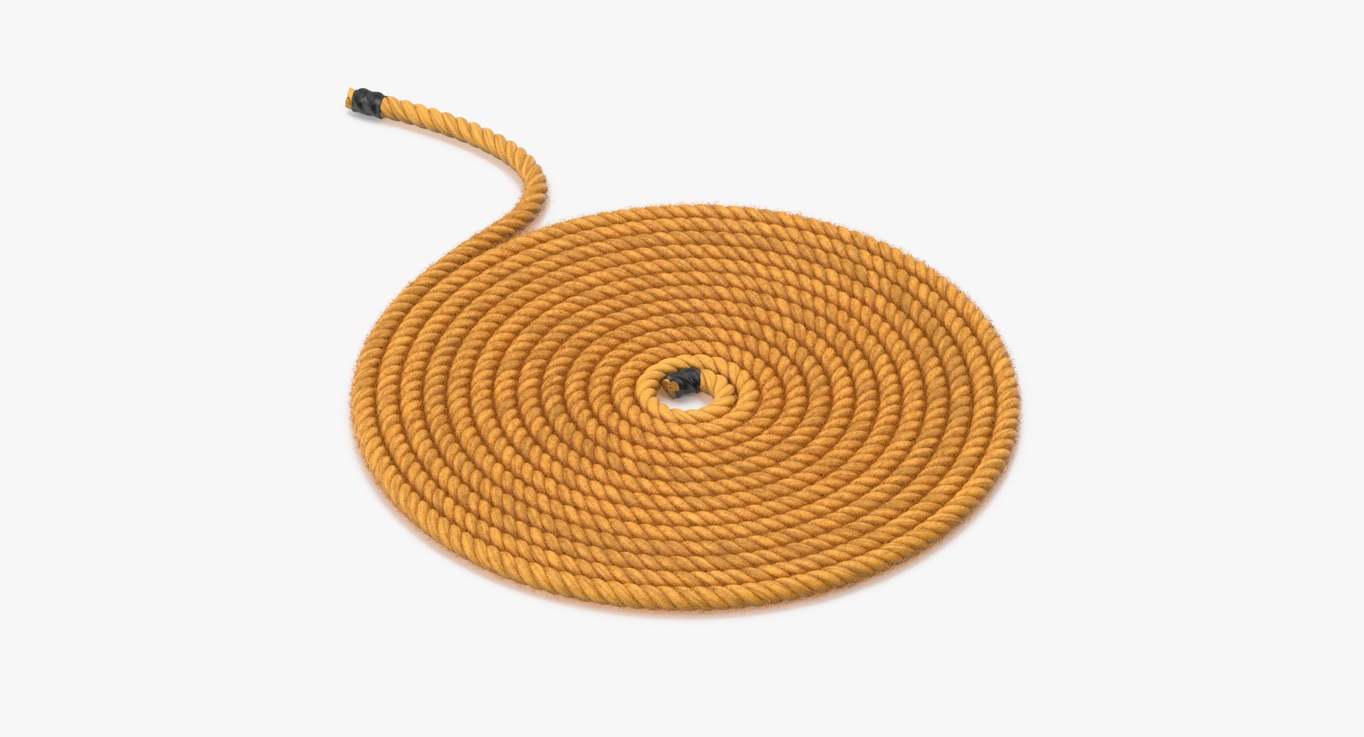 Coiled Rope 3d Model