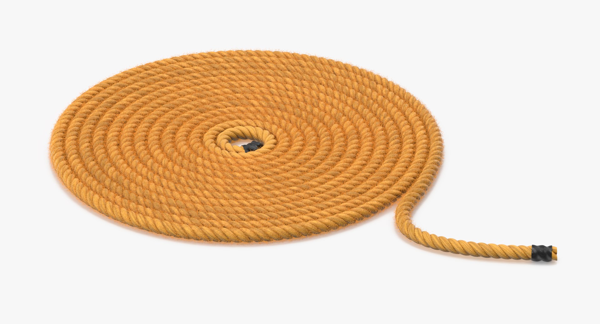 Coiled Rope 3d Model