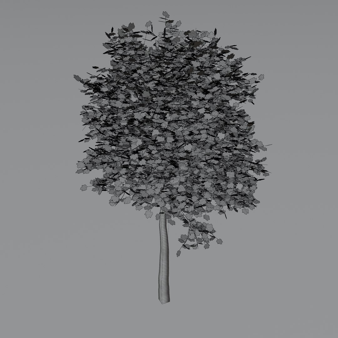 Trees Realistic Low-poly Uv 3D Model - TurboSquid 1587952
