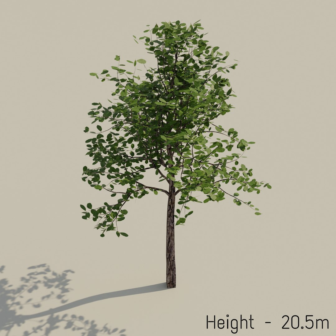 Trees Realistic Low-poly Uv 3D Model - TurboSquid 1587952