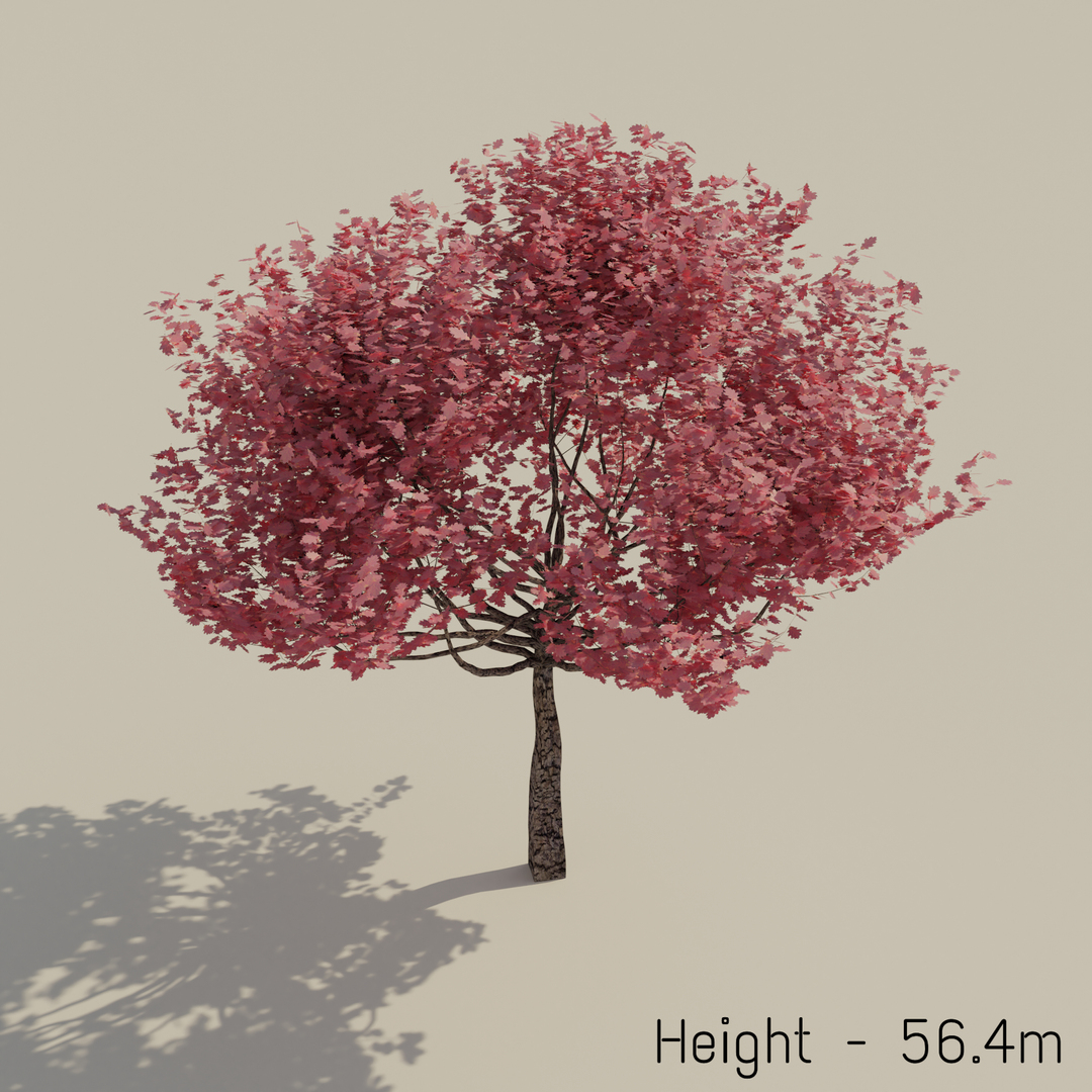 Trees realistic low-poly uv 3D model - TurboSquid 1587952