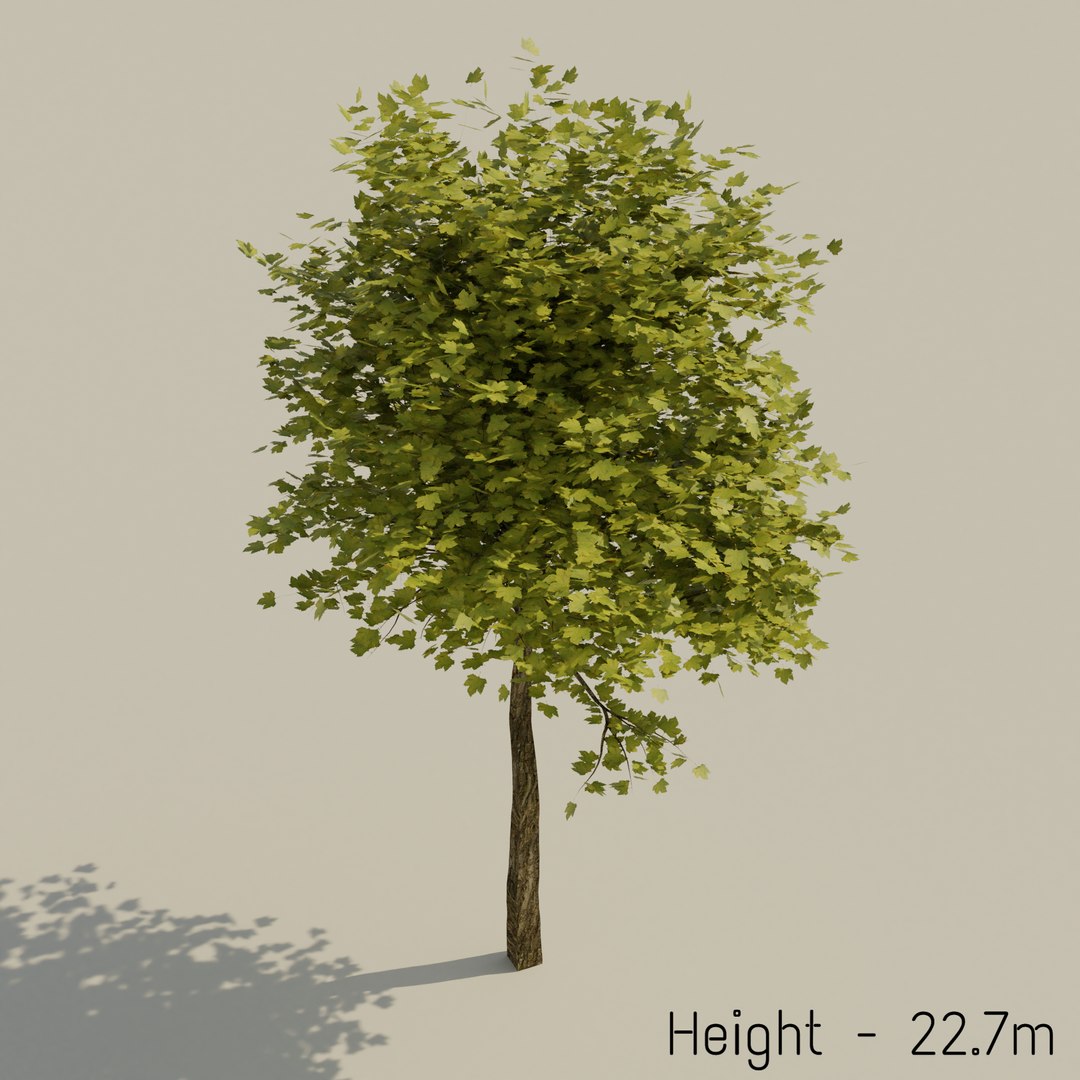 Trees Realistic Low-poly Uv 3D Model - TurboSquid 1587952