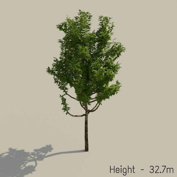 Trees realistic low-poly uv 3D model - TurboSquid 1587952
