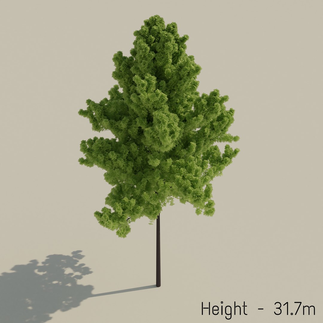 Trees Realistic Low-poly Uv 3D Model - TurboSquid 1587952