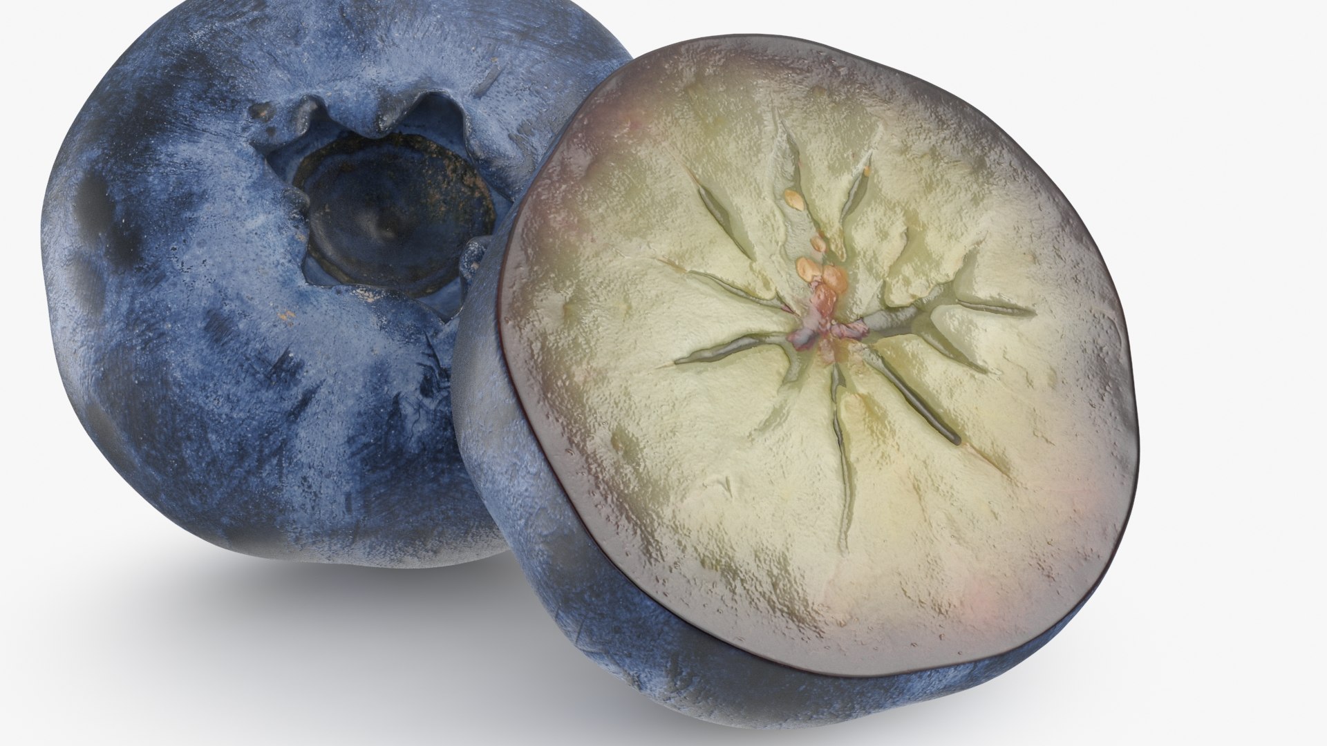 3D Blueberry 01 Whole Half Model - TurboSquid 2215243