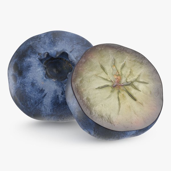 3D Blueberry Models | TurboSquid