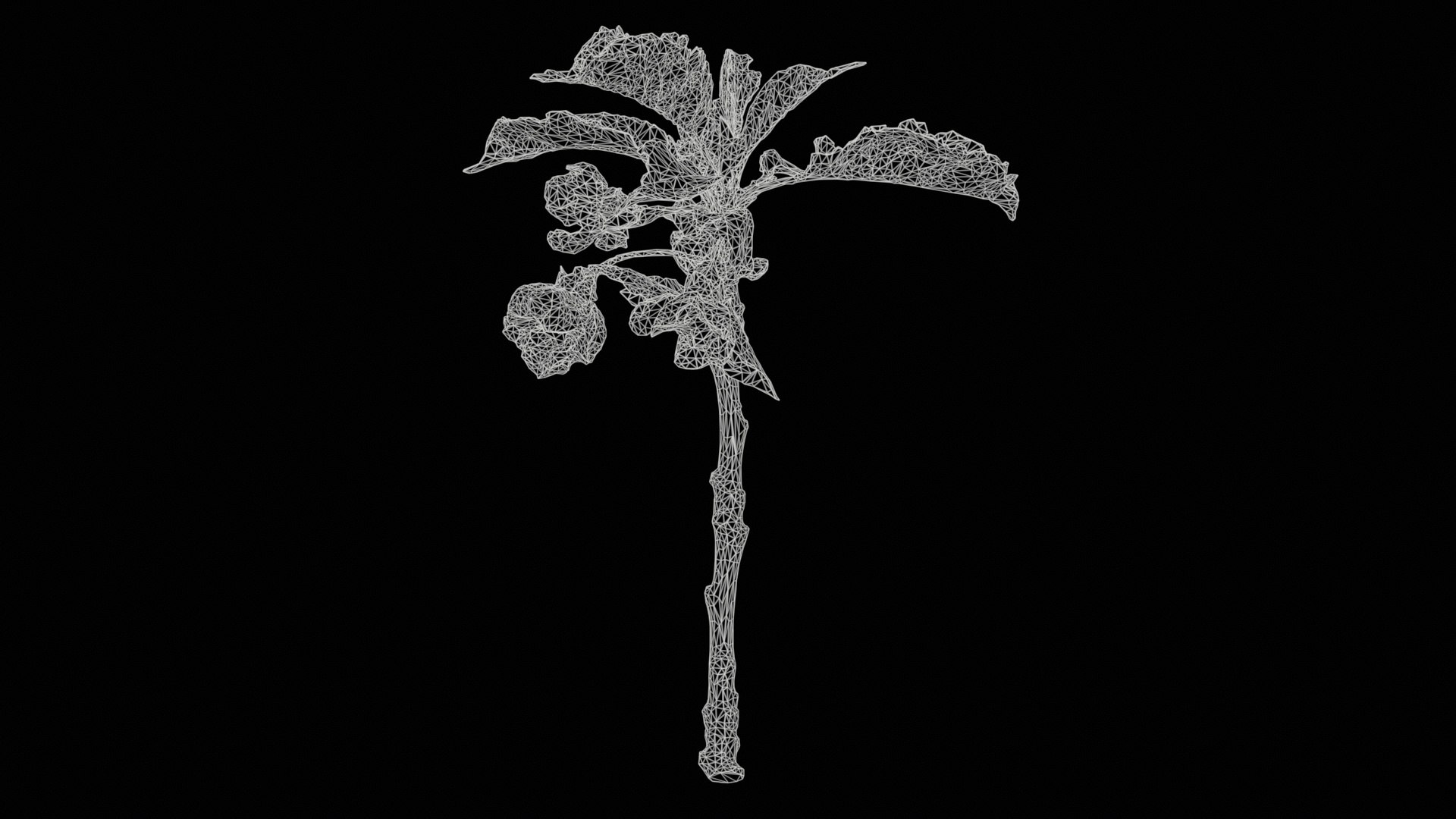 Prunus Avium Wild Cherry Rosaceae Sprout 2 Remastered 3D Model ...