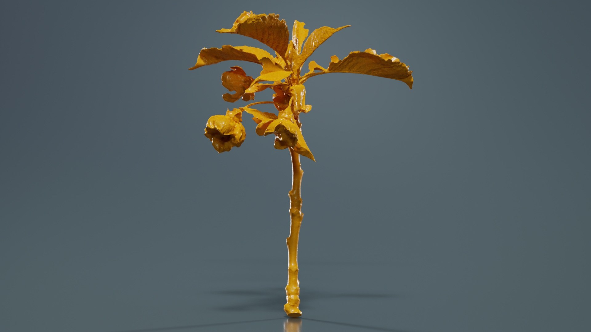 Prunus Avium Wild Cherry Rosaceae Sprout 2 Remastered 3D Model ...
