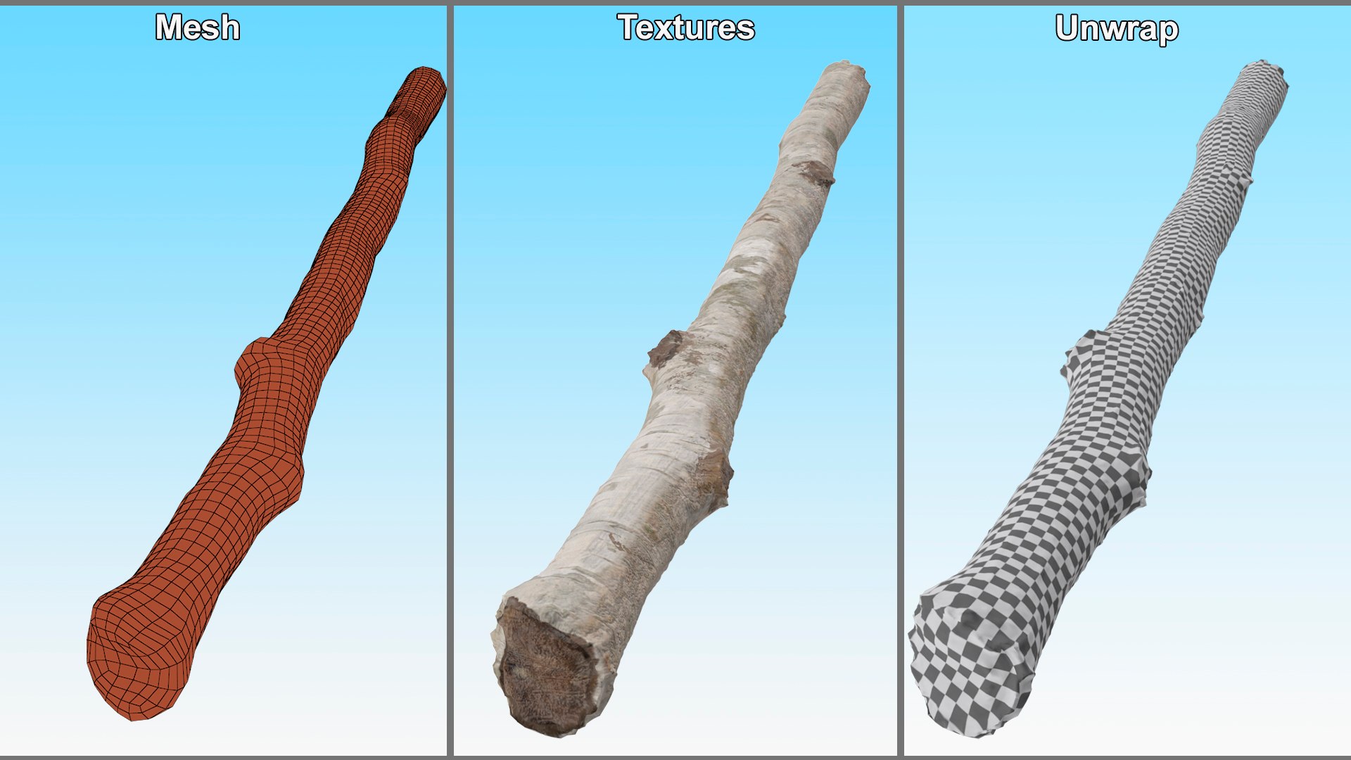 Single White Birch Pole 3D Model - TurboSquid 2127768