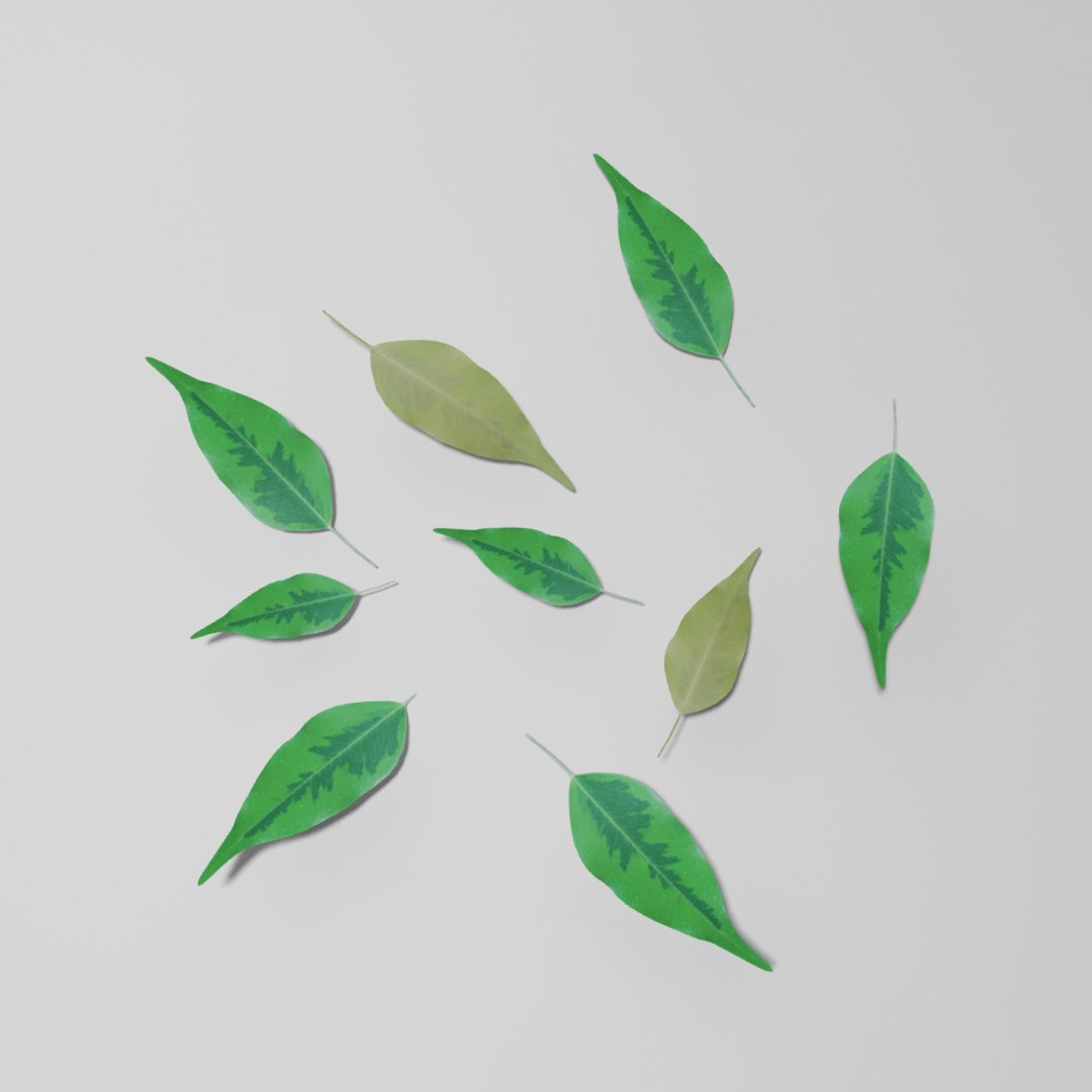 3d Nature Leaf