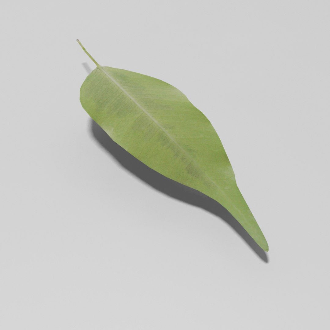 3d Nature Leaf