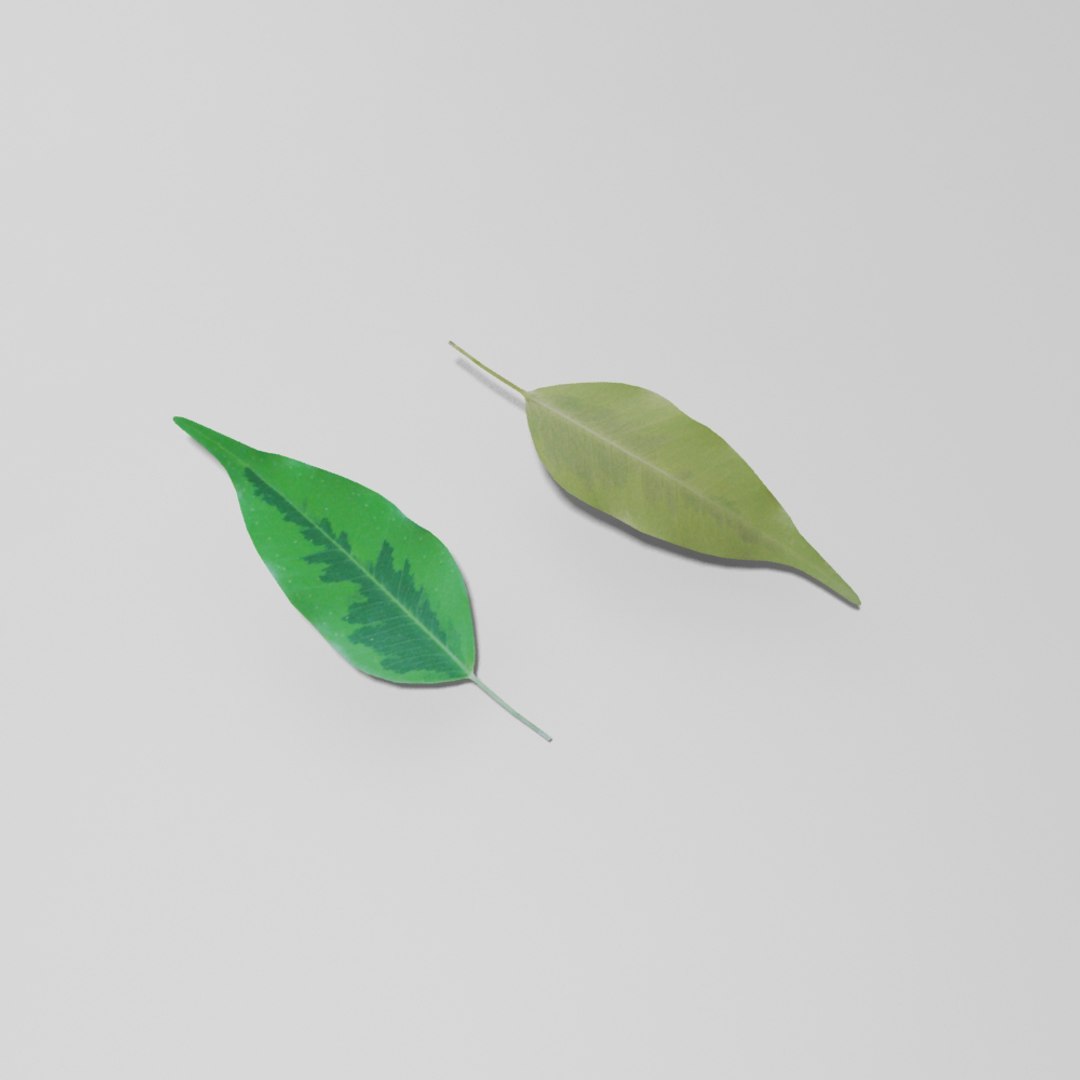 3d Nature Leaf