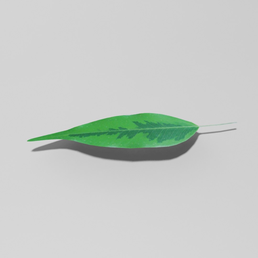 3d Nature Leaf