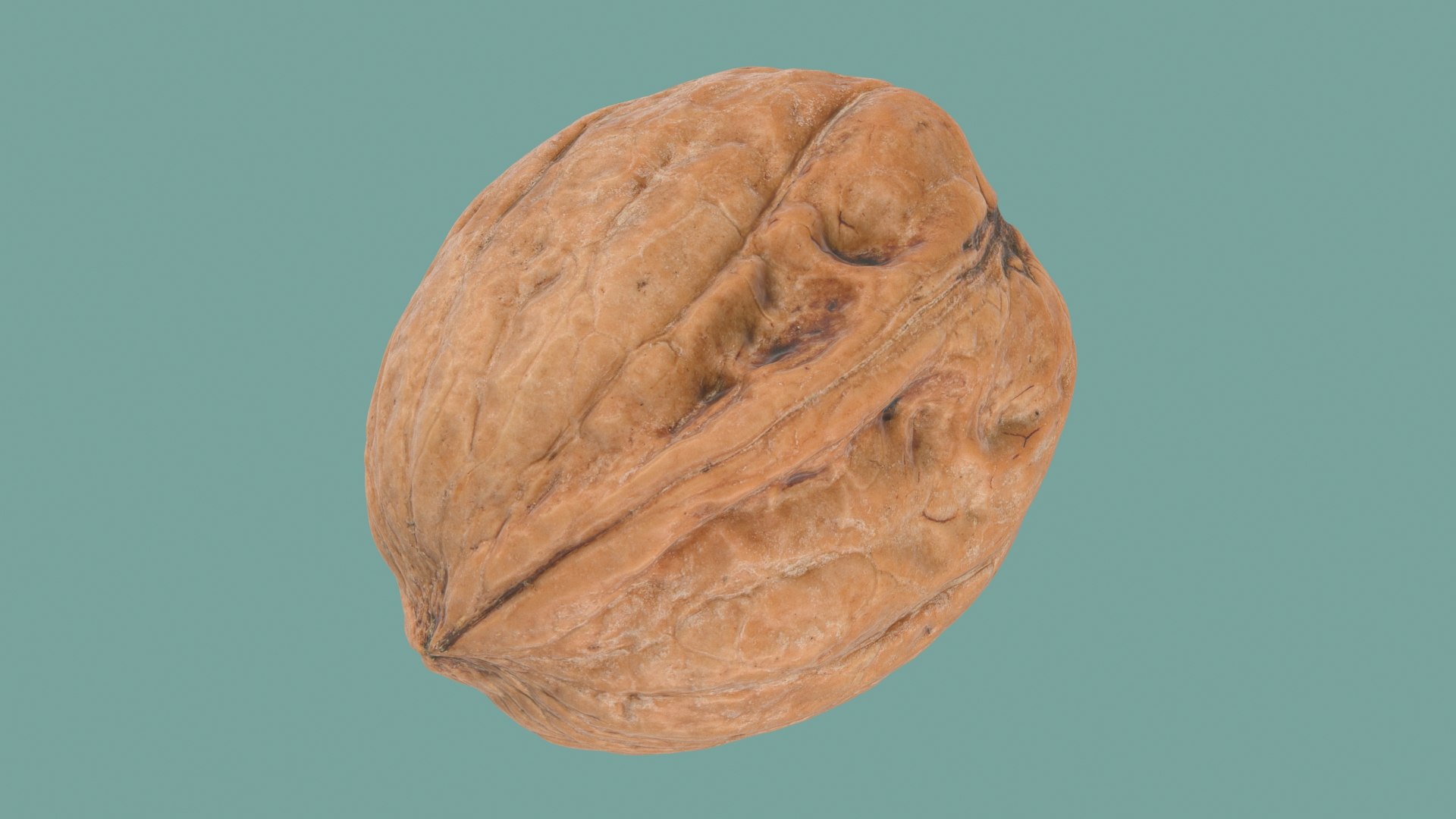 3D model Walnuts Collection - TurboSquid 2039243
