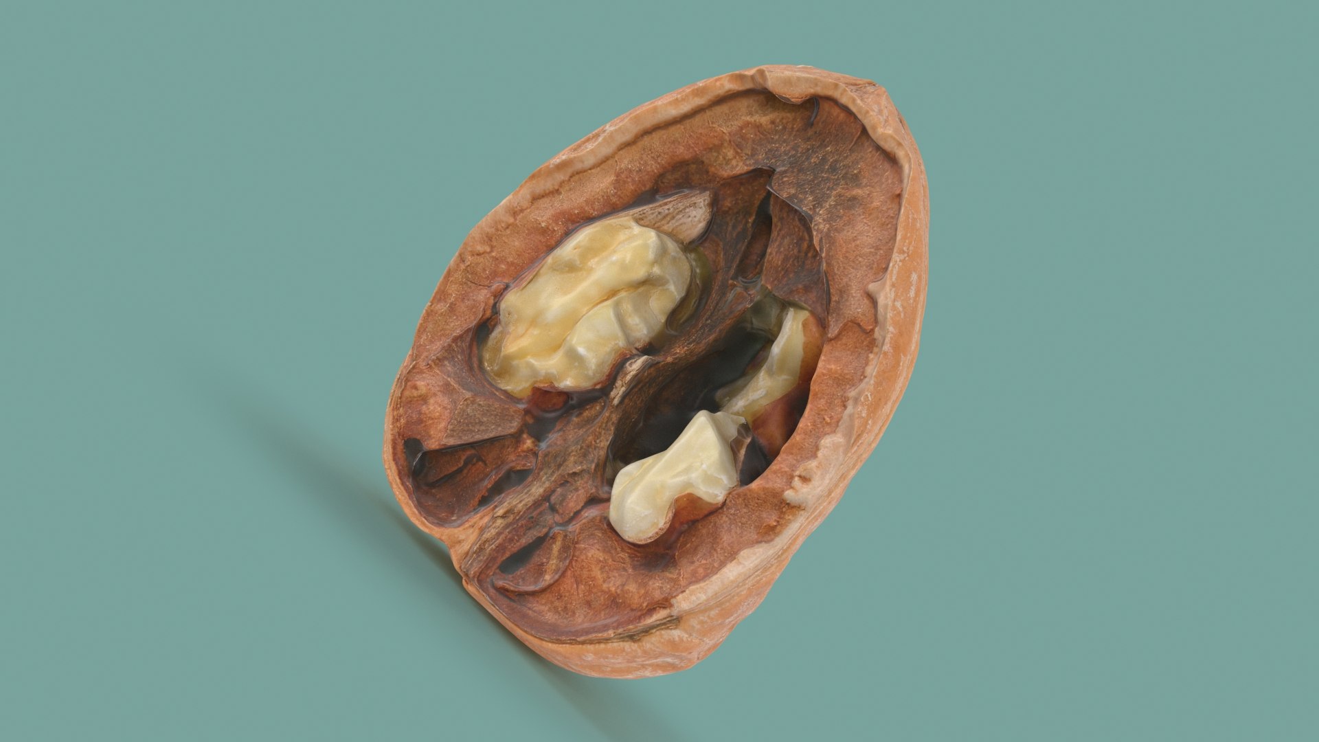 3D model Walnuts Collection - TurboSquid 2039243