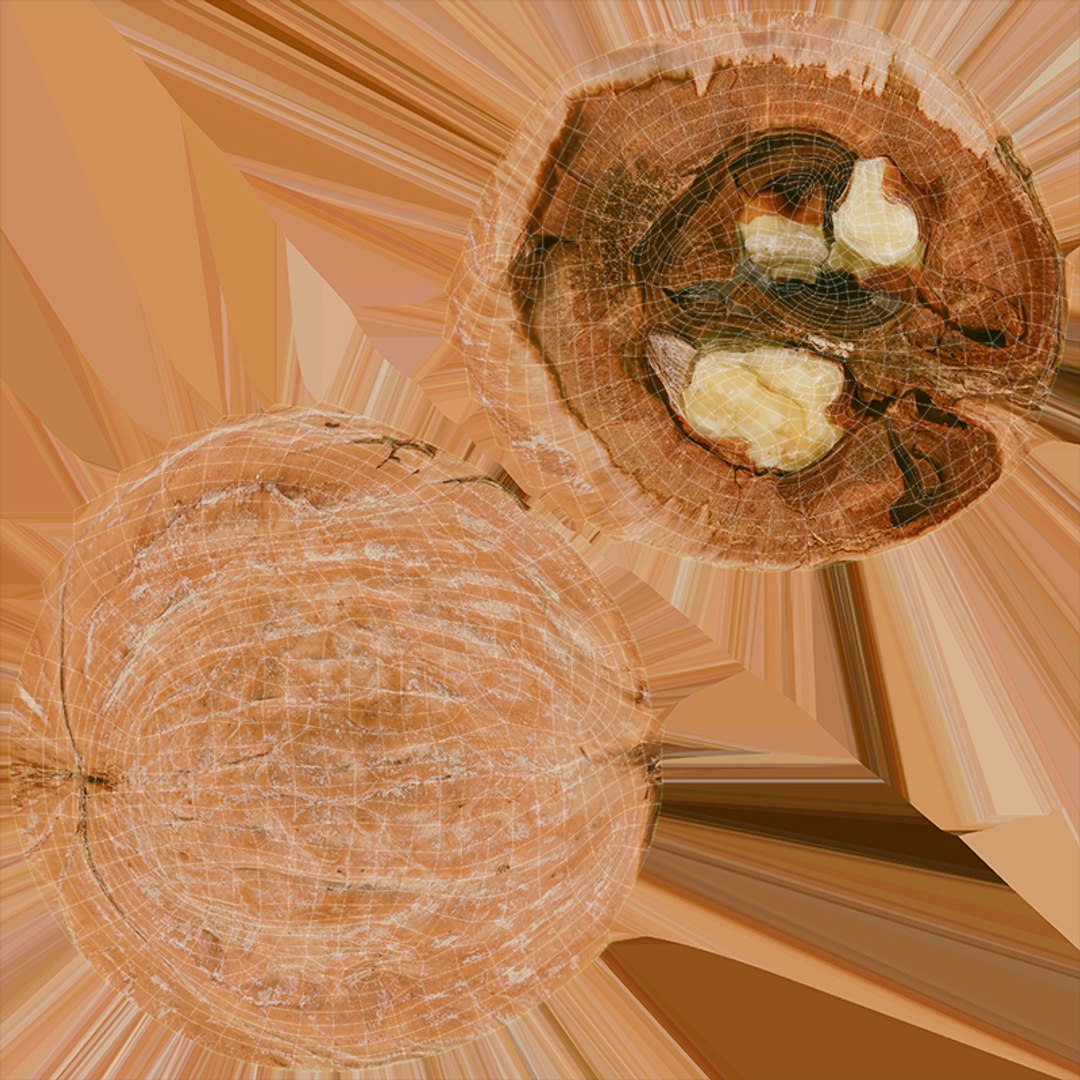 3D model Walnuts Collection - TurboSquid 2039243