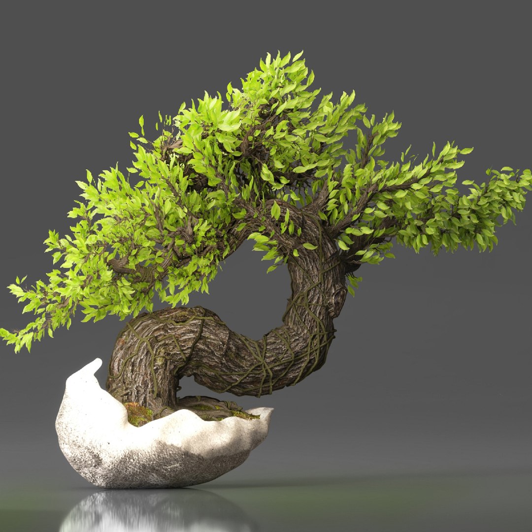 Bonsai Flower Set -03 3D model - TurboSquid 2169258