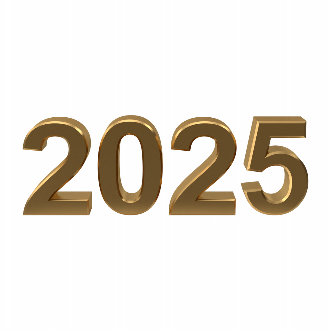 2025 3D - TurboSquid 2407448