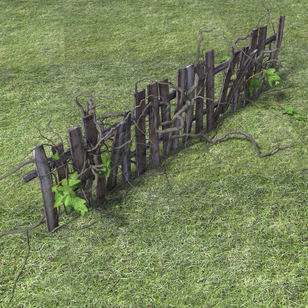 3D Hut Climbing Plant - TurboSquid 1292909