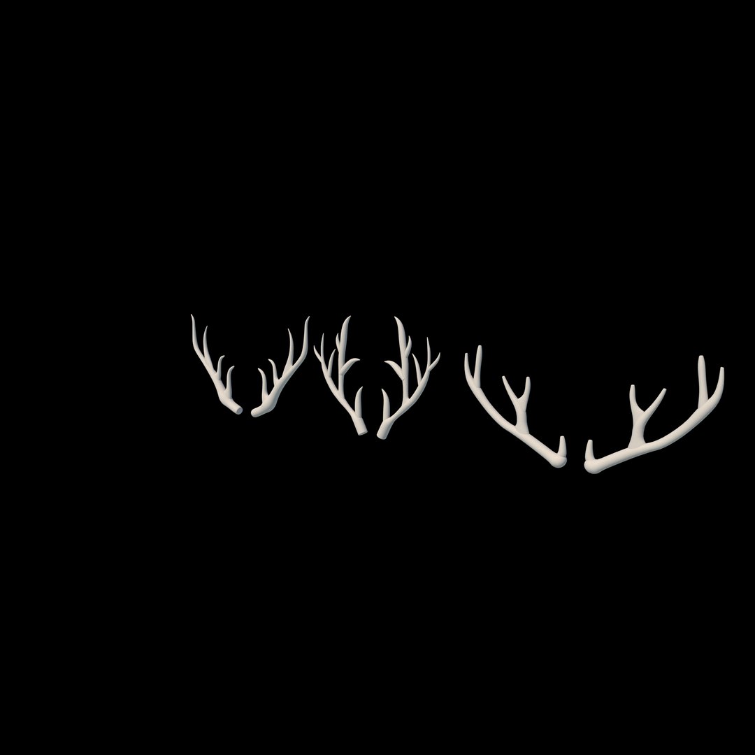3D Deer Antler 3D Model Model - TurboSquid 2336334